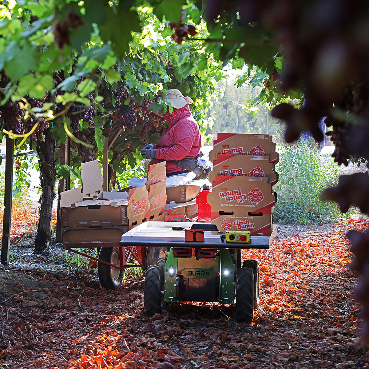 Burro — Autonomous Harvest Carts & Hauling | WGCIT